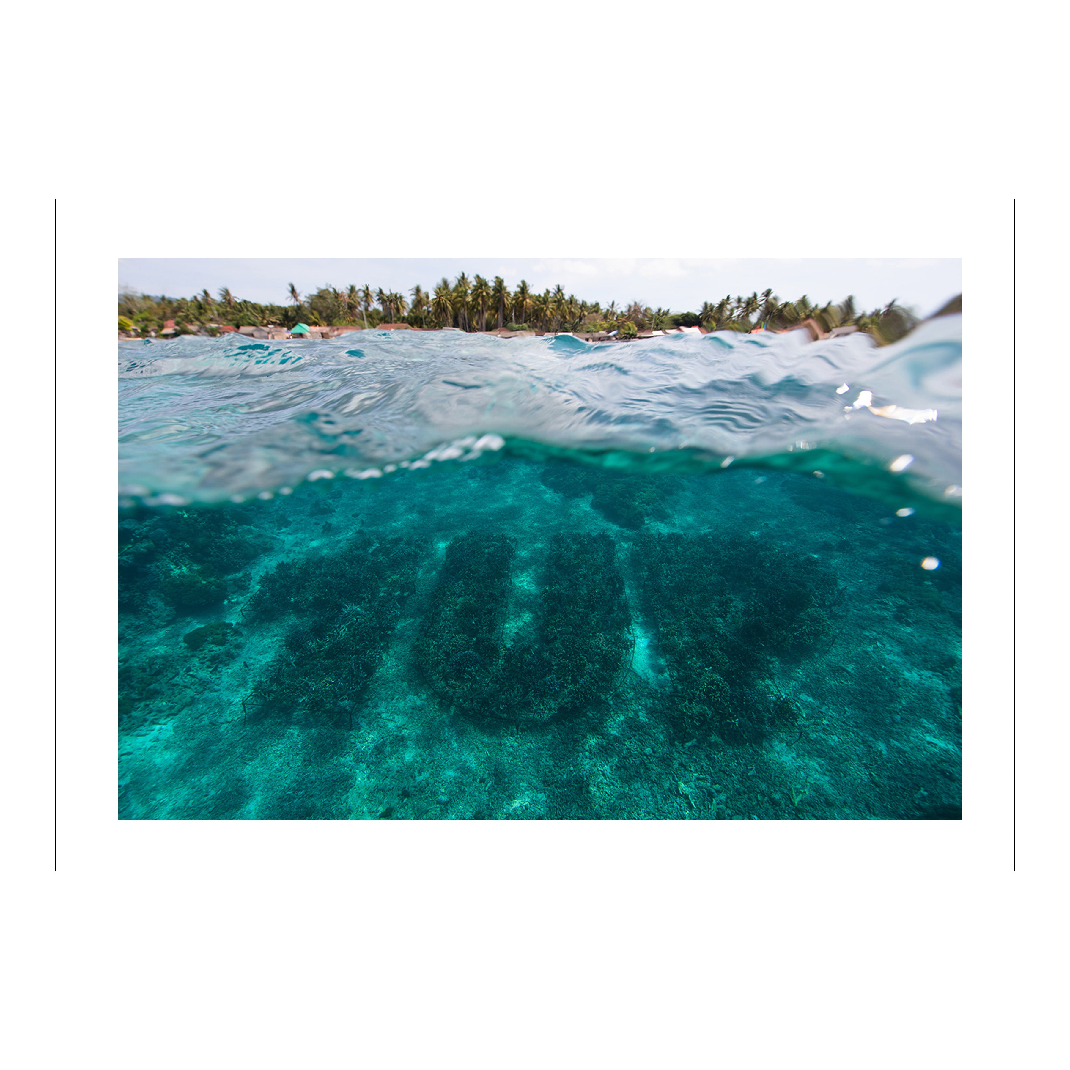 1UP Coral Guardian – Museum of Graffiti