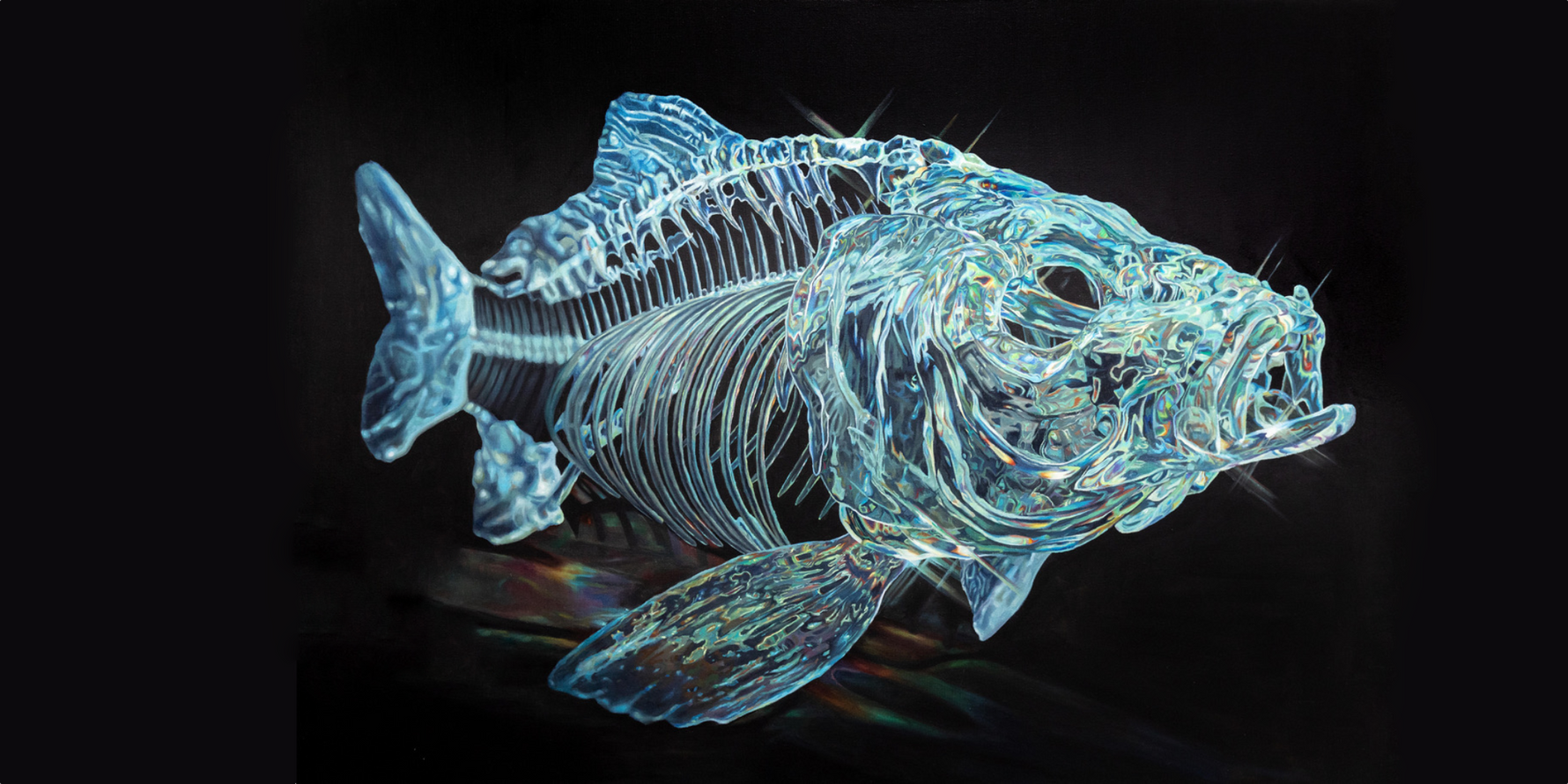 Transparent by VANCE DNA – Museum of Graffiti